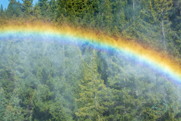 Rainbow Science: How Rainbows Form and How to Find Them