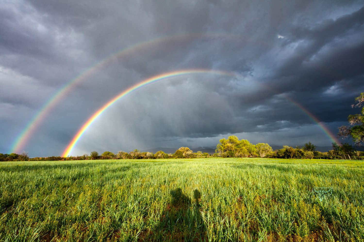 Rainbow Science: How Rainbows Form and How to Find Them