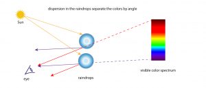 Rainbow Science: How Rainbows Form and How to Find Them