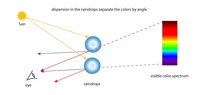 Rainbow Science: How Rainbows Form and How to Find Them