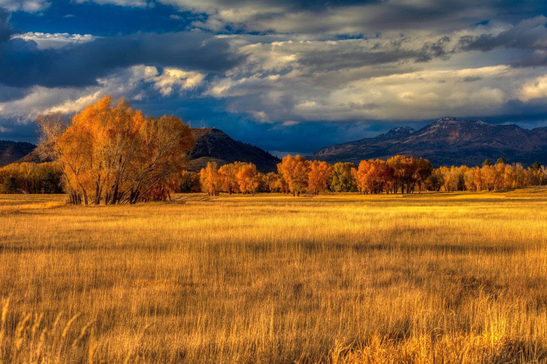 Photography Tours in the Santa Fe Region - In Light of Nature