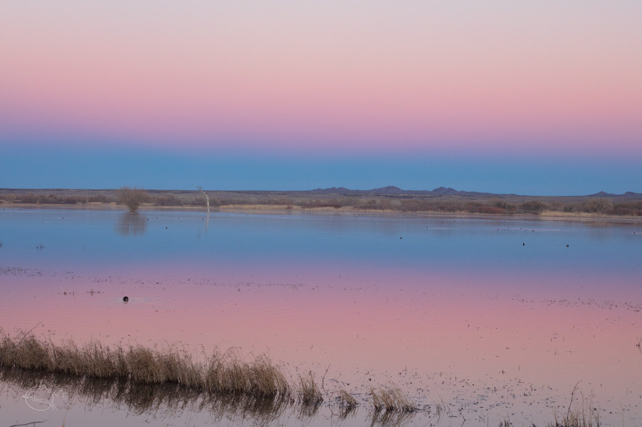The Belt of Venus and the Earth's Shadow - In Light of Nature