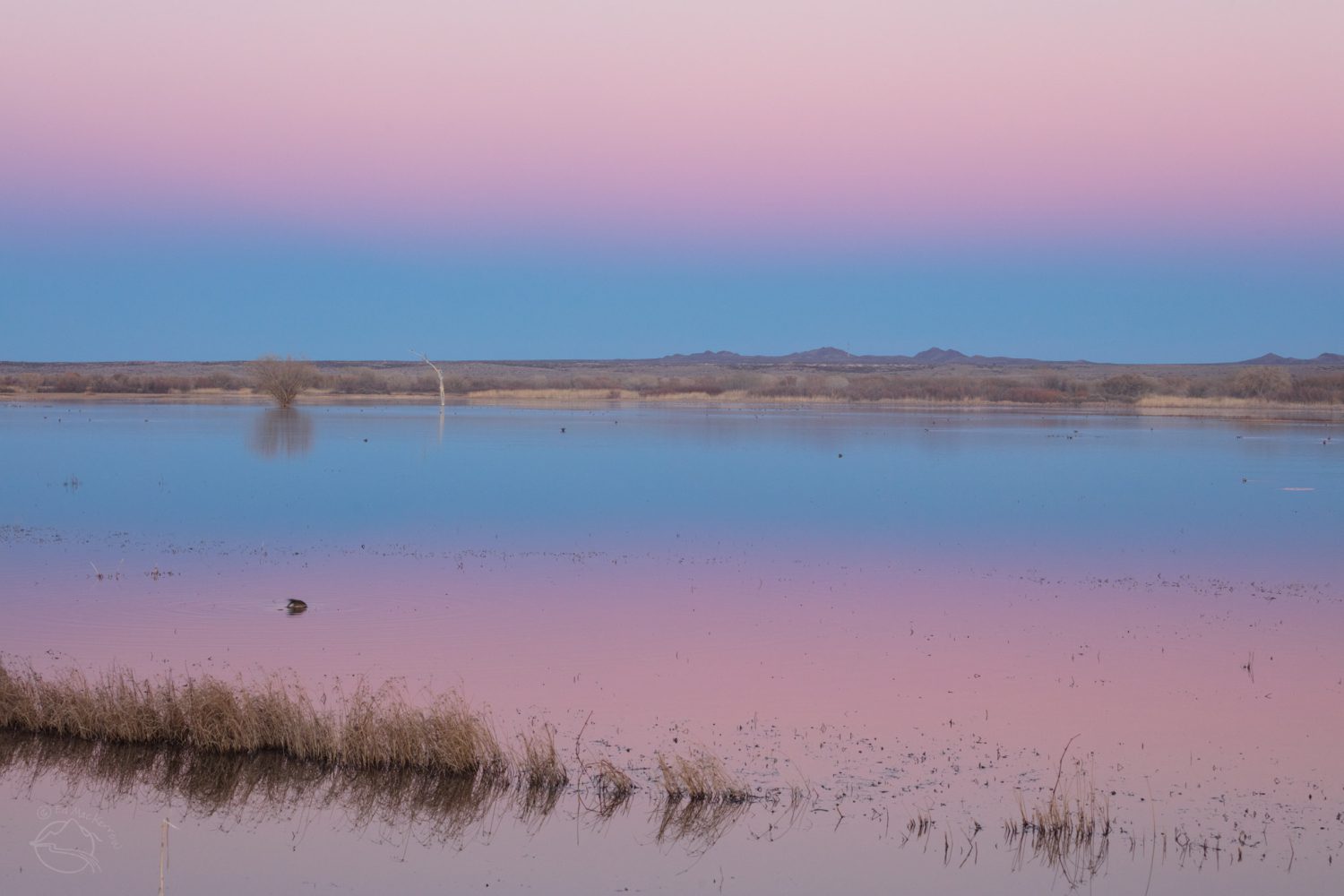 The Belt of Venus and the Earth's Shadow - In Light of Nature