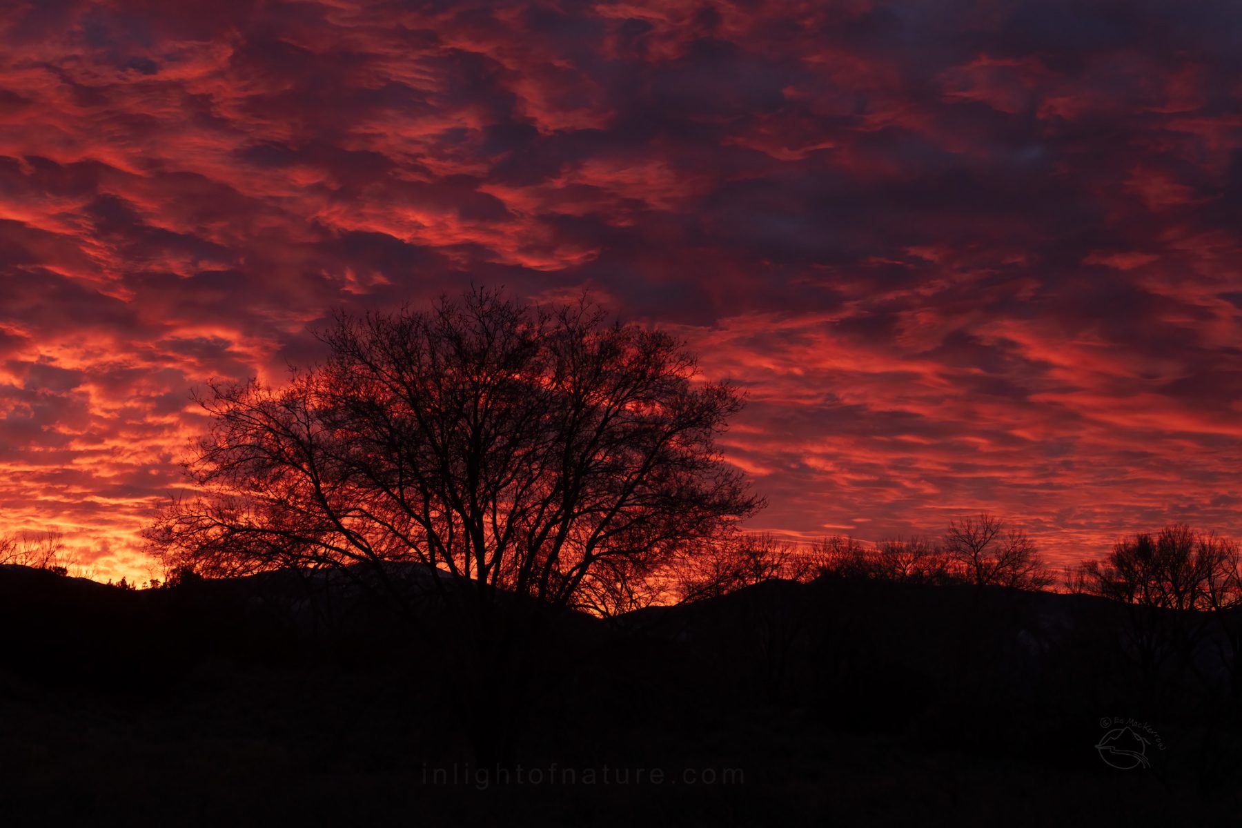 Red sky at morn, sailor take warning; red sky at night, sailor's ...